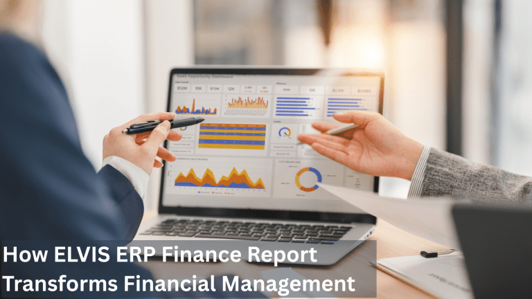 How ELVIS ERP Finance Report Transforms Financial Management ...