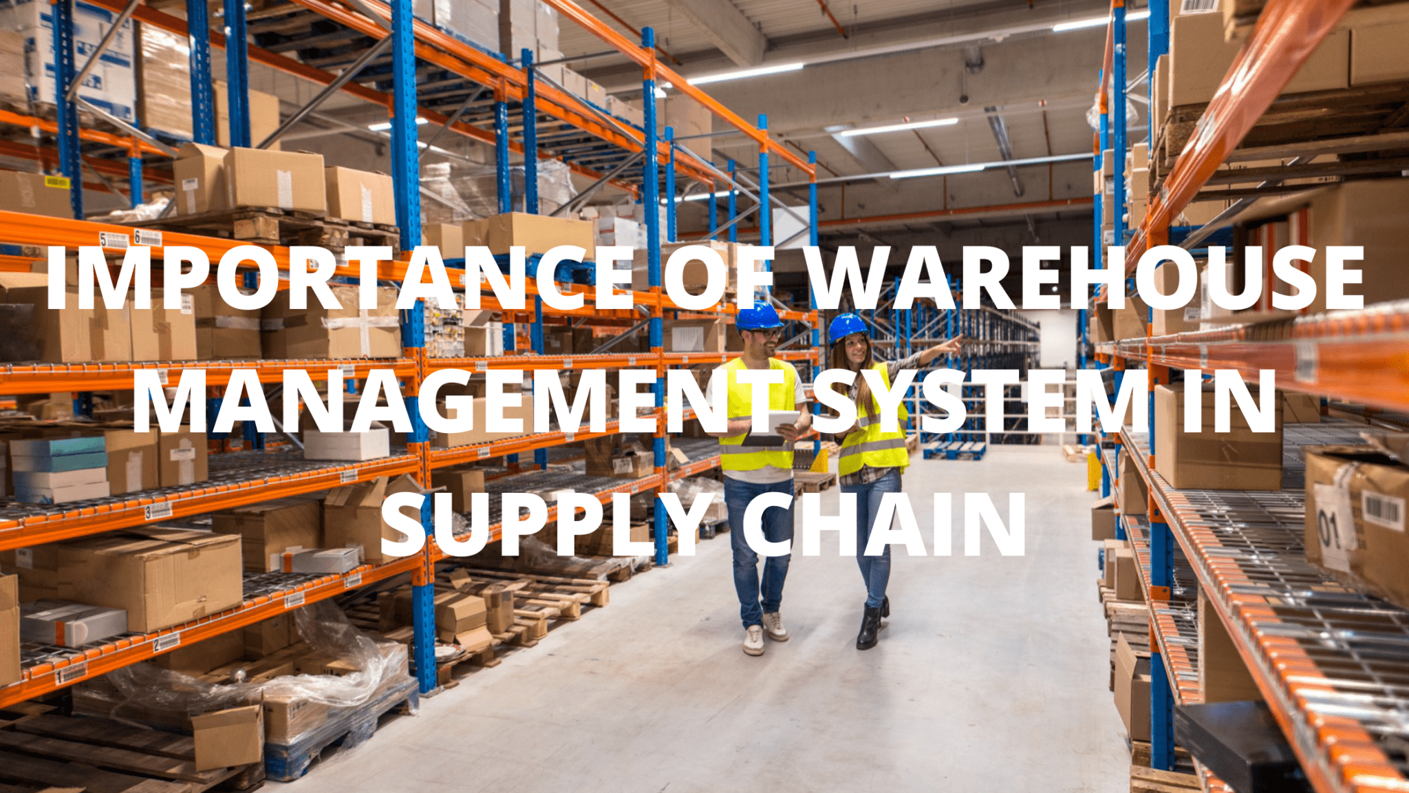 Importance of warehouse management system - Elvis ERP